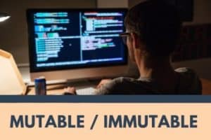 Mutable and Immutable Types in JavaScript (With Examples) – HowToCreateApps